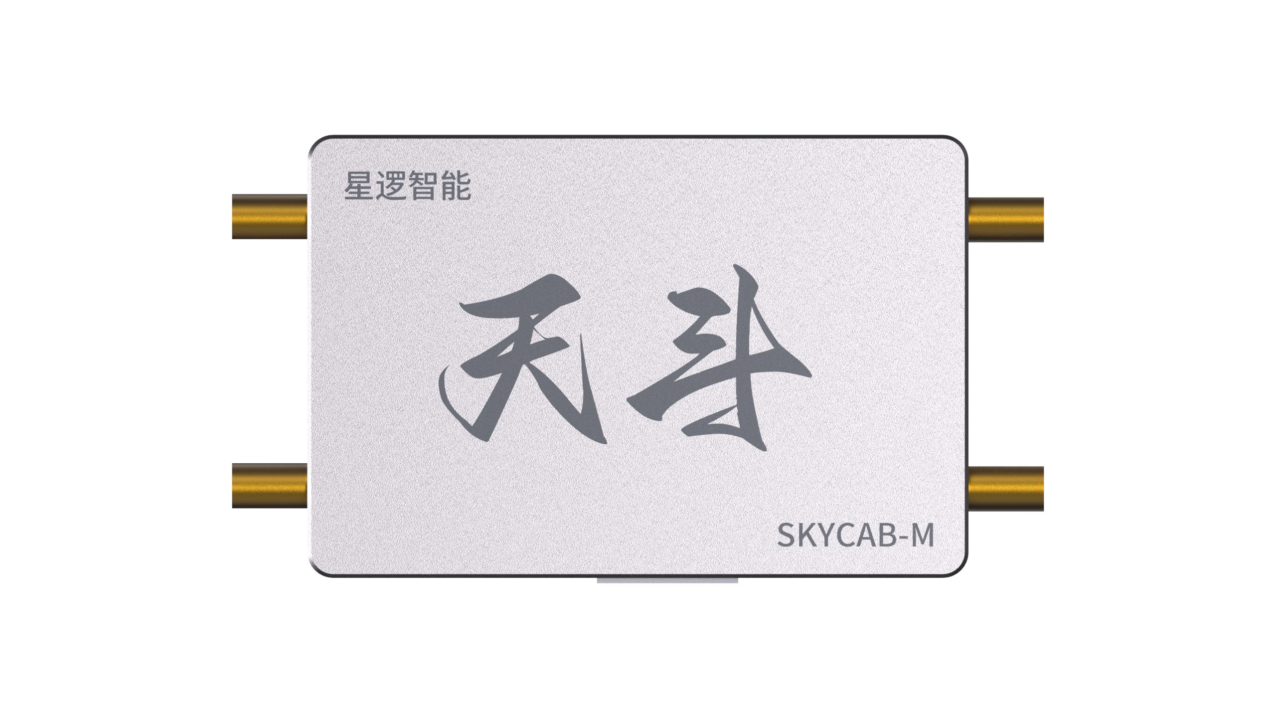 Skysys-SkyCab Airborne AI Module System